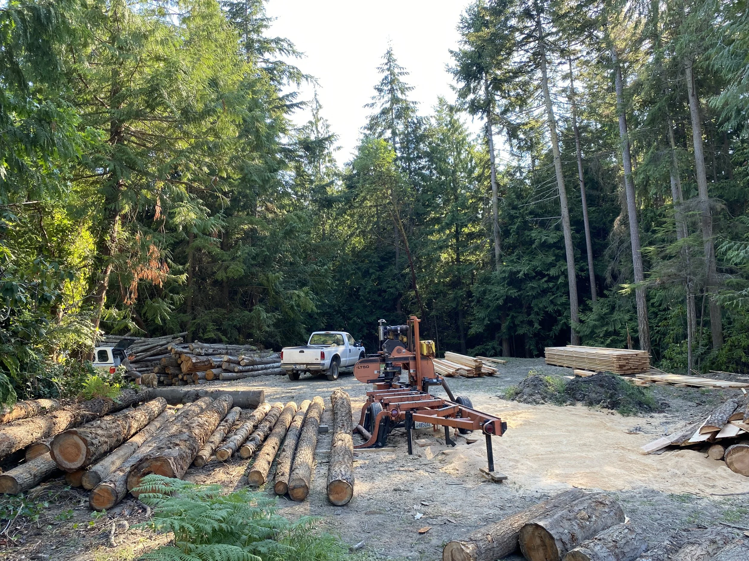 Mobile Sawmill Services