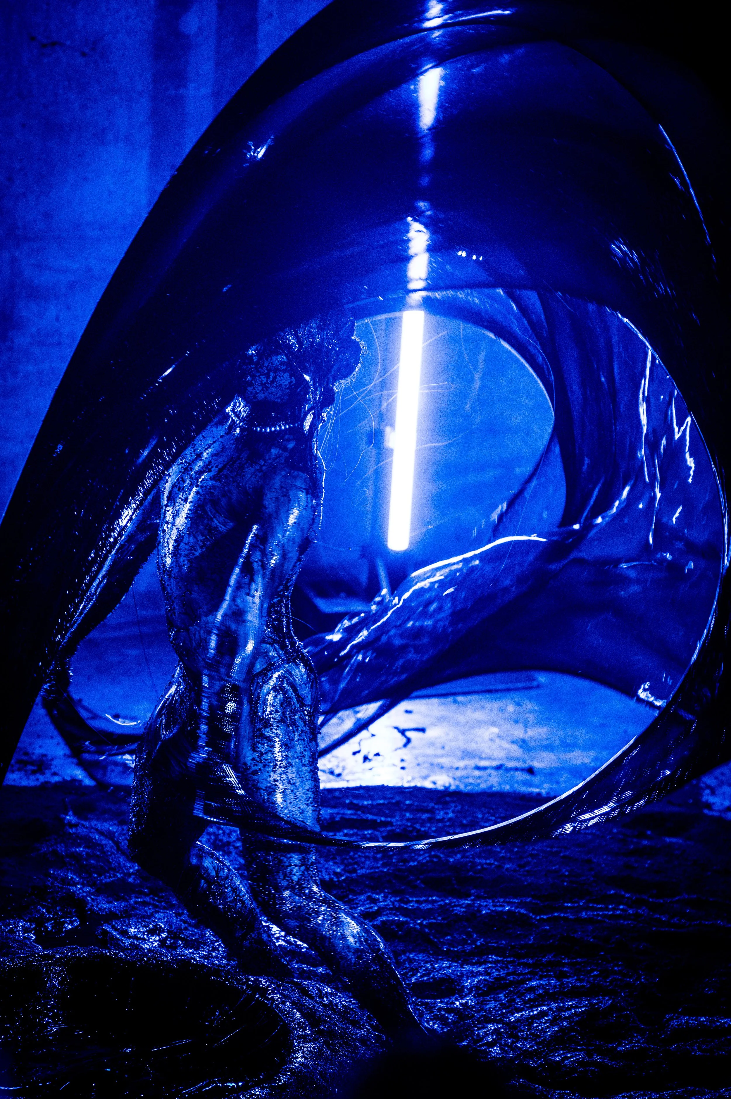 VOID Myth Makers — Joshua Serafin