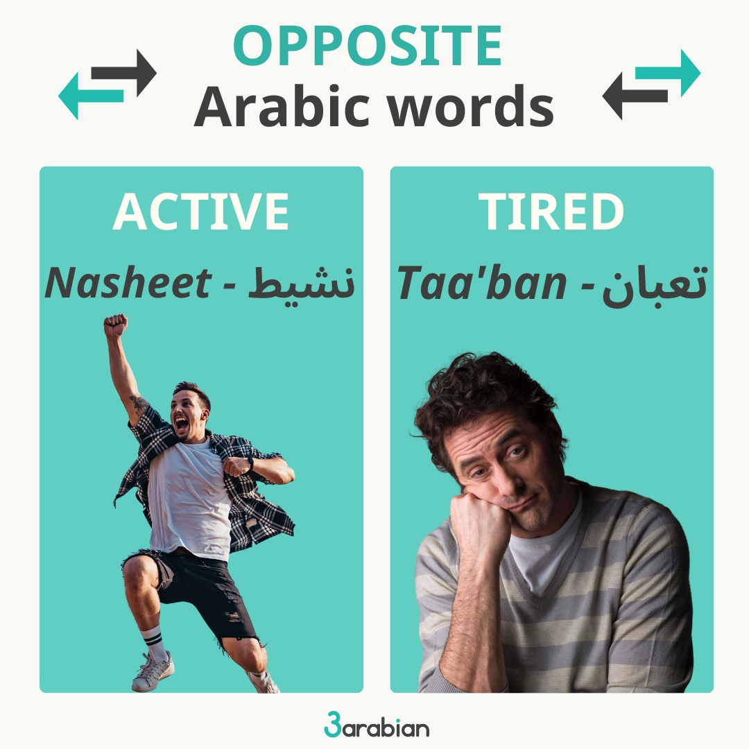 7 Opposite Arabic Words to Know About — 3arabian