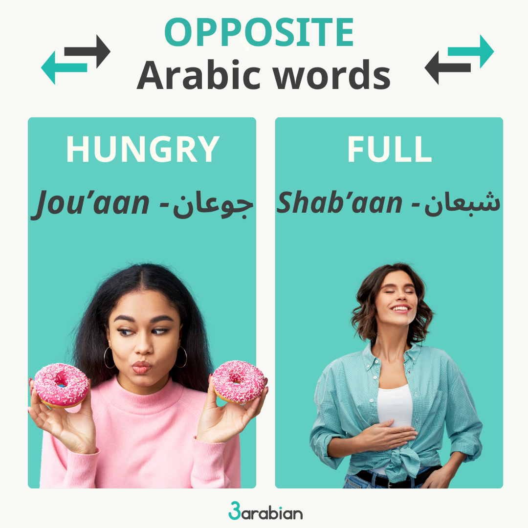 7 Opposite Arabic Words to Know About — 3arabian
