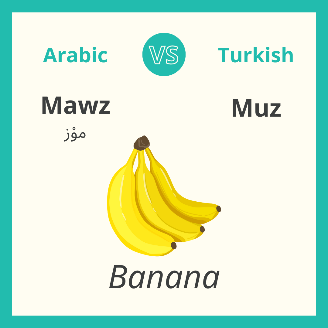 Arabic vs. Turkish, 10 Similar Words — 3arabian