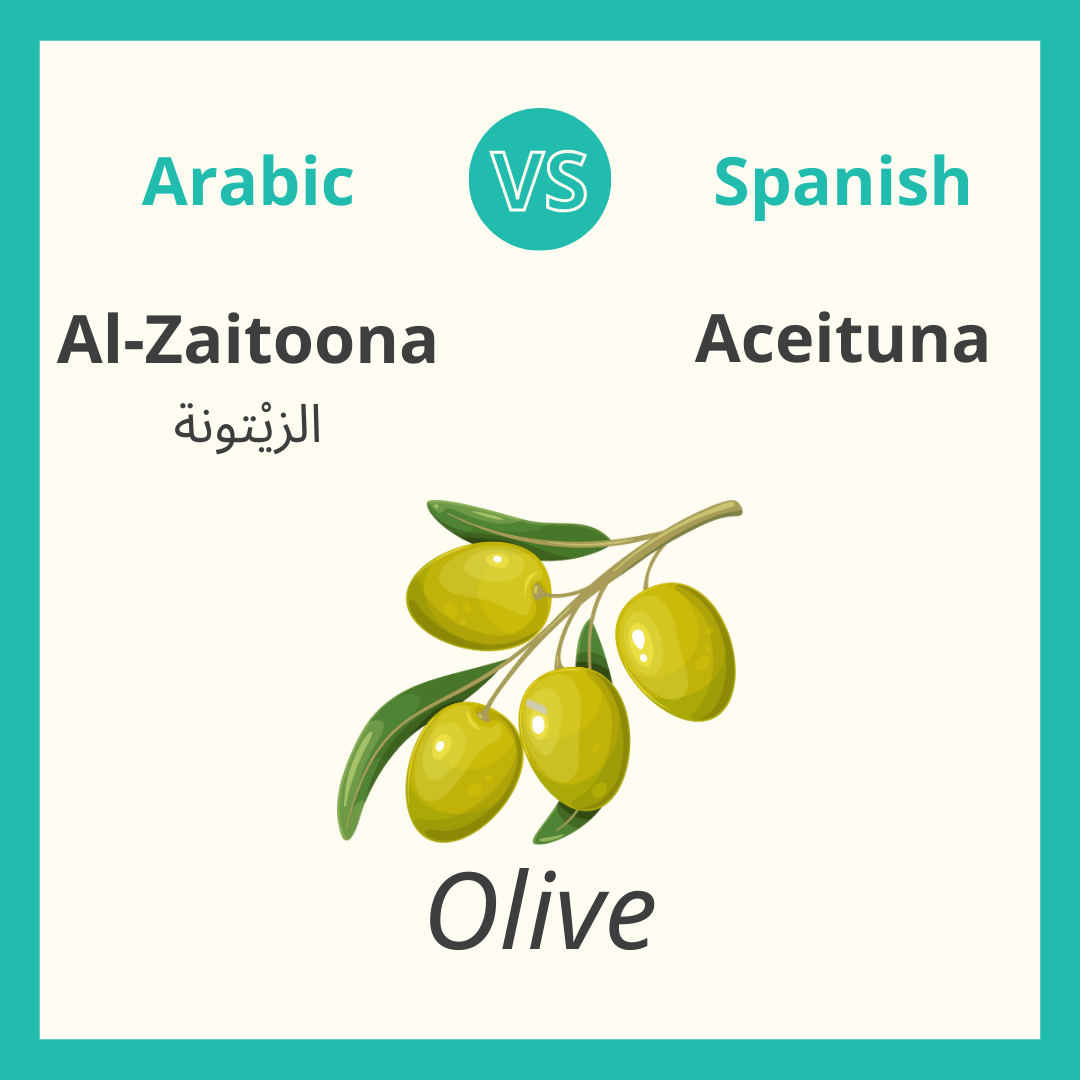 Arabic vs. Spanish, 10 Similar Words — 3arabian