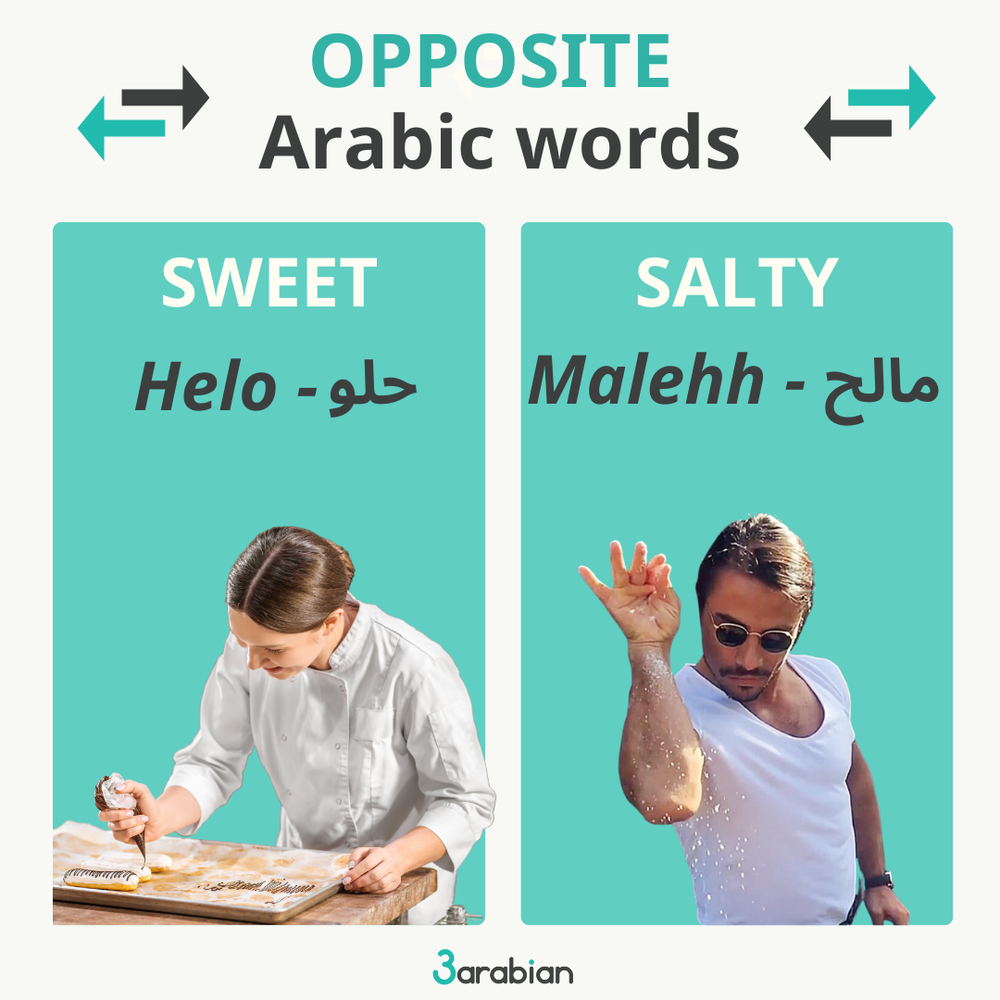 7 Opposite Arabic Words to Know About — 3arabian