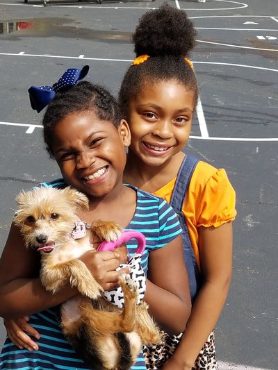 District 16 Brooklyn– NYC DOE