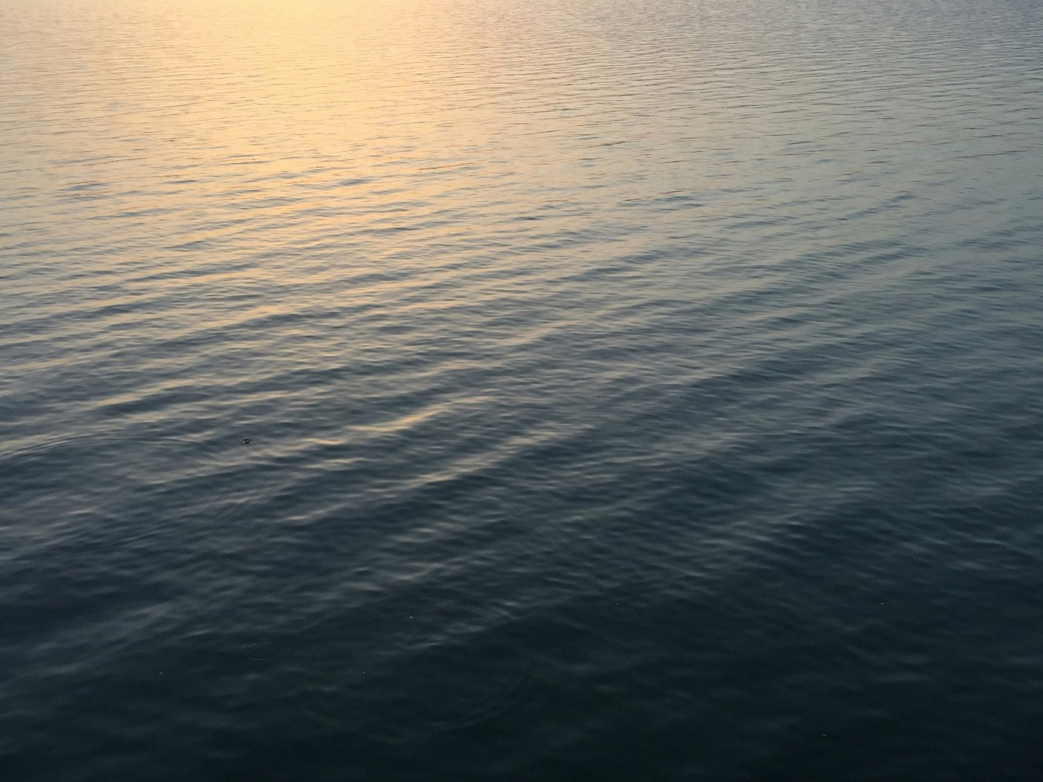South West Water Filtration
