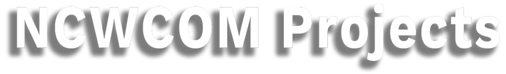 Business Services — NCWCOM