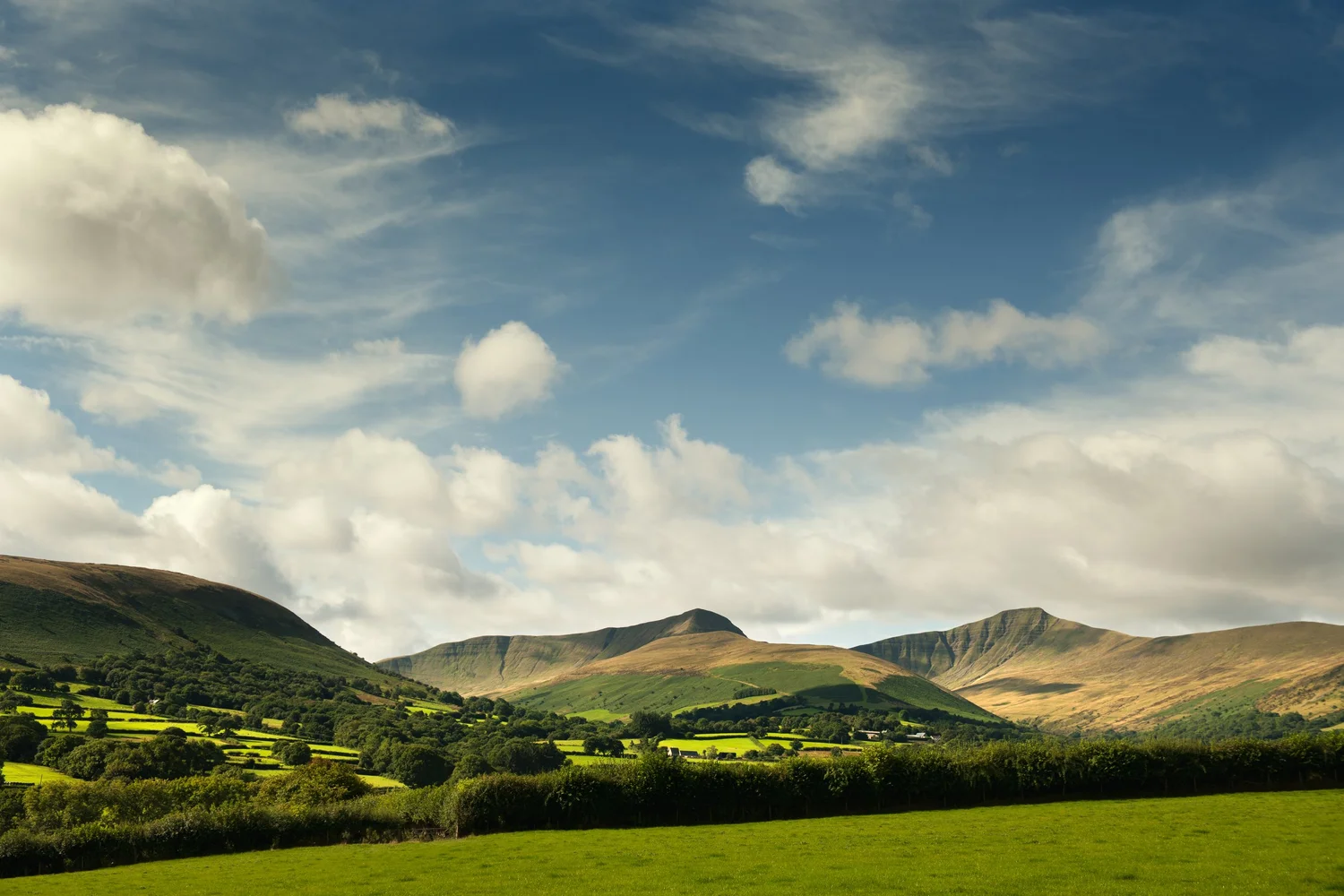 Gallery — The Manor Hotel