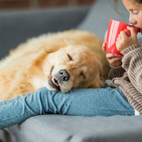 Harris Mechanical | Get Comfortable Today — Contact Us