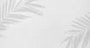 Sarah Teeple - Holistic Health & Functional Medicine, Louisville, KY