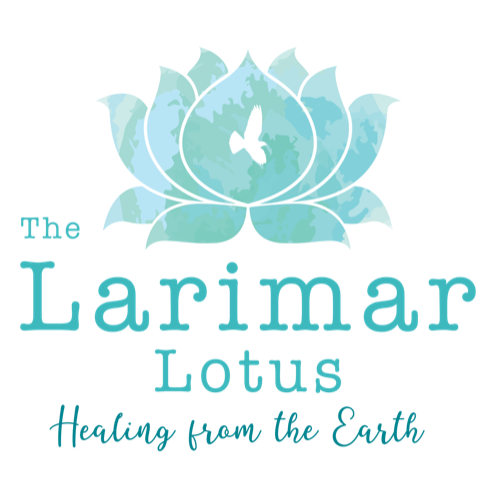 Check Out the Upcoming Larimar Lotus Events — The Larimar Lotus