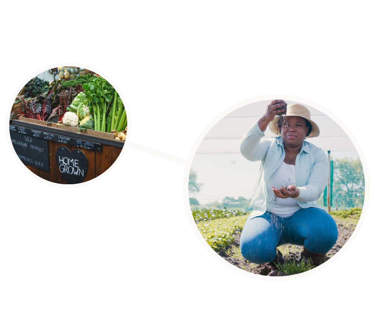 About — The Food Conversation