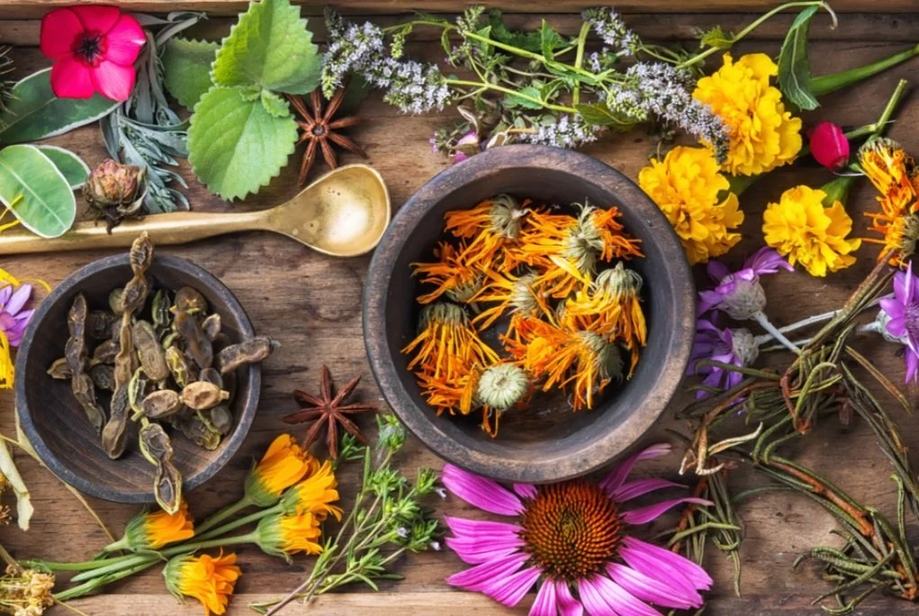 Healing Seeds