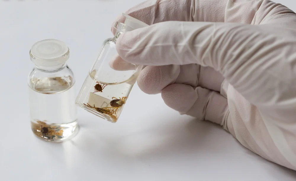 Tick Testing | Get Tested Today — Stay Protected — PA Lyme Resource Network