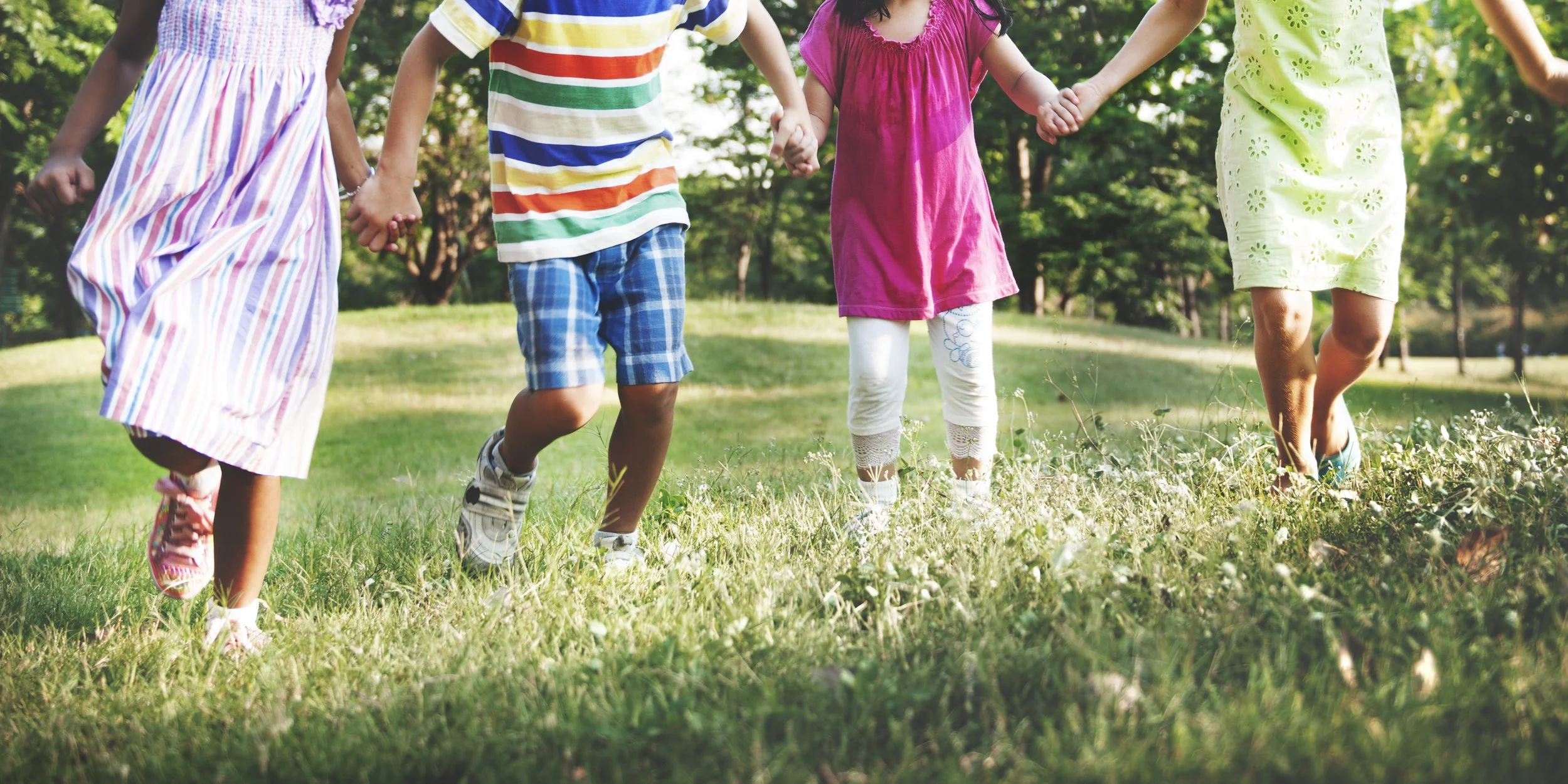 Tick-Borne Diseases in PA | Stay Informed - Protect Yourself Today — PA ...