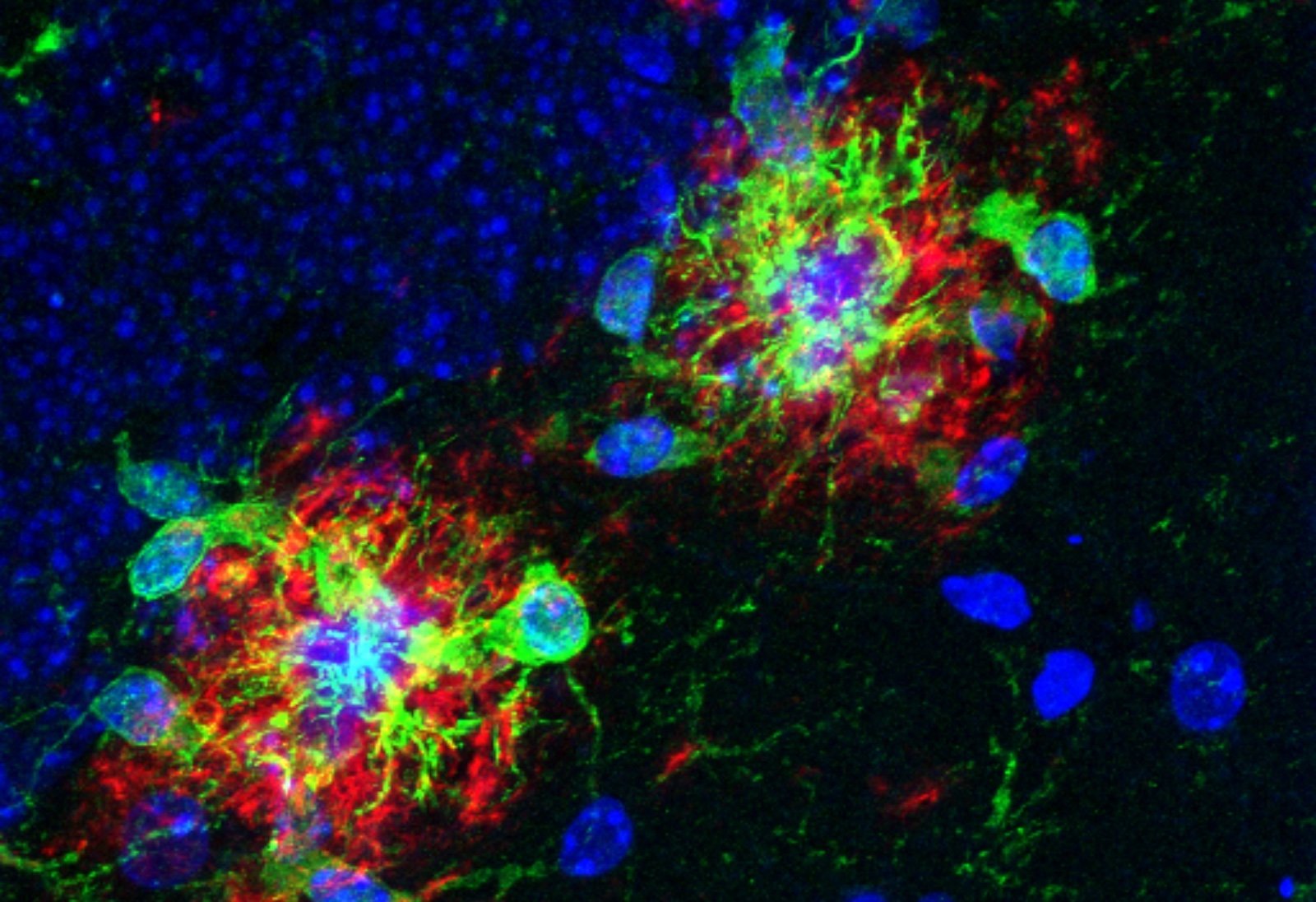 Research — Gan Laboratory