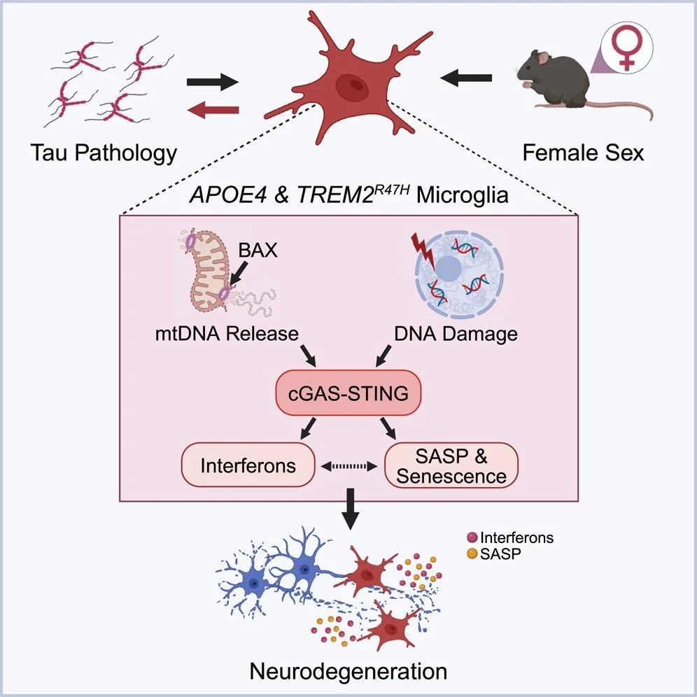 Publications — Gan Laboratory