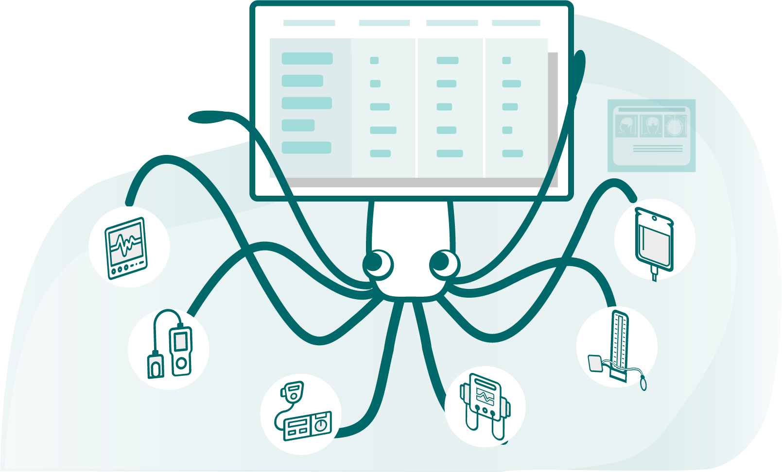 Squid New Site