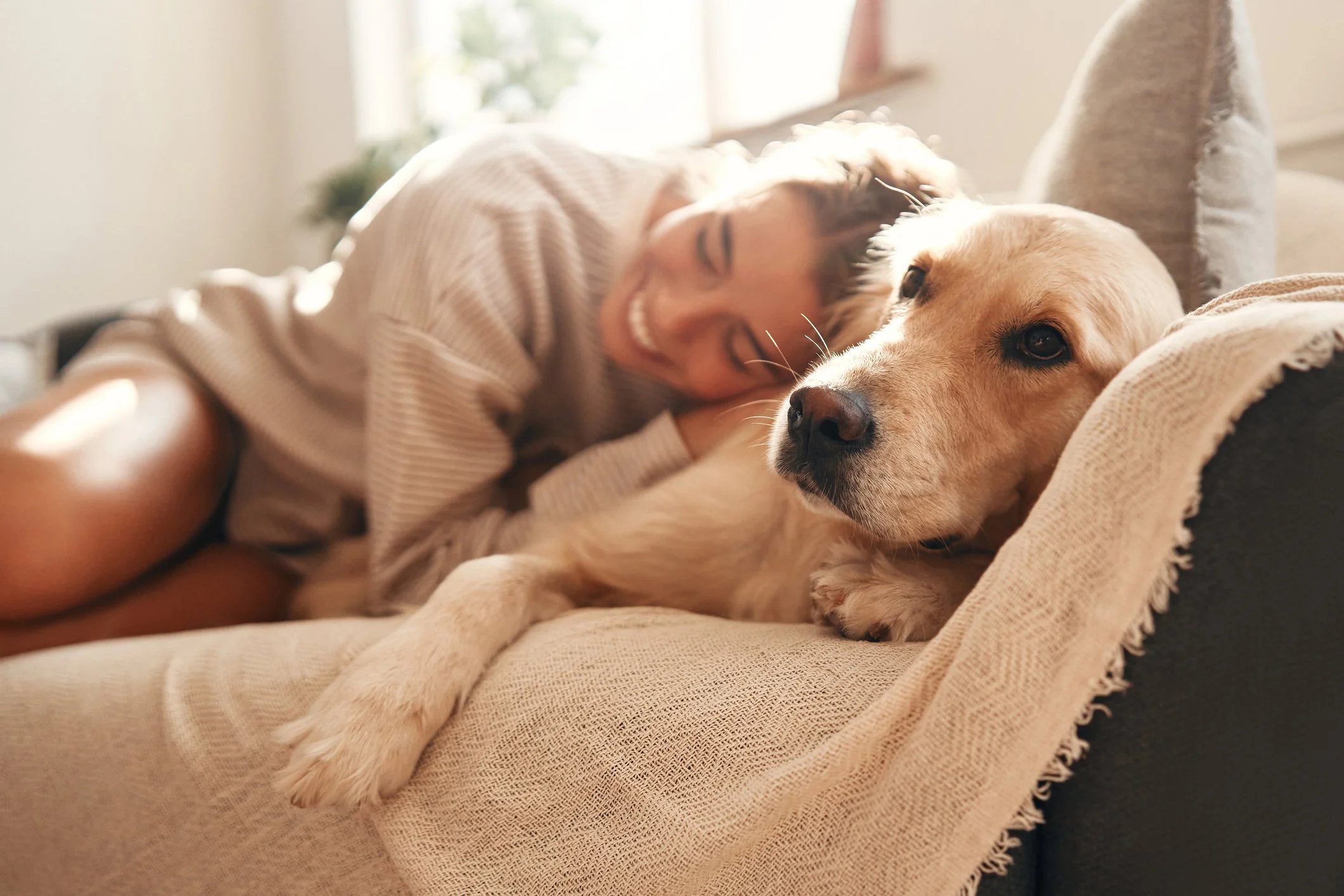Compassionate Indiana Pet Cremation Services | Faithful Companions