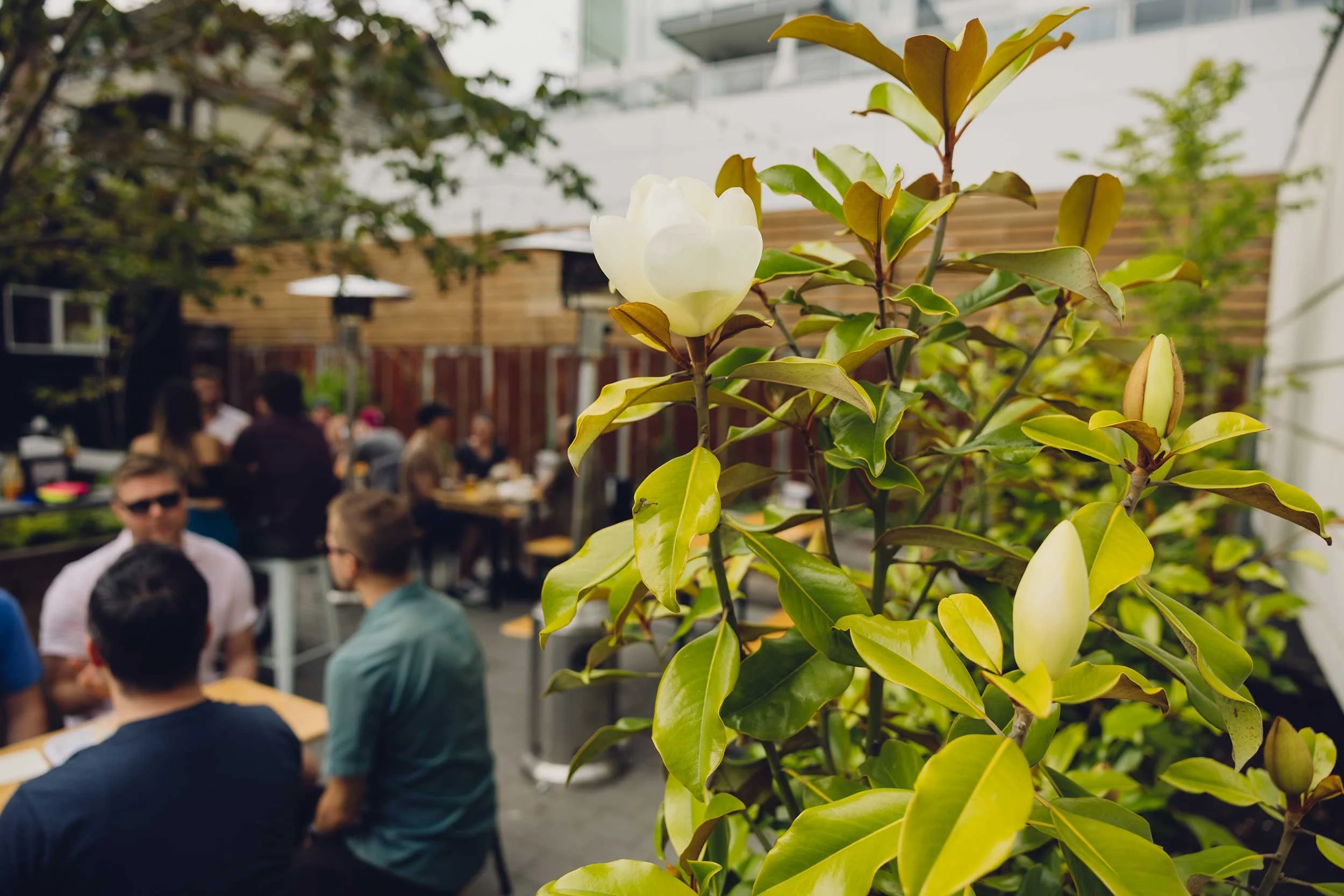 Boomtown | Burritos. Beer Garden. Bar