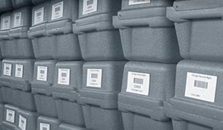 Record Storage — Chicago Records Management