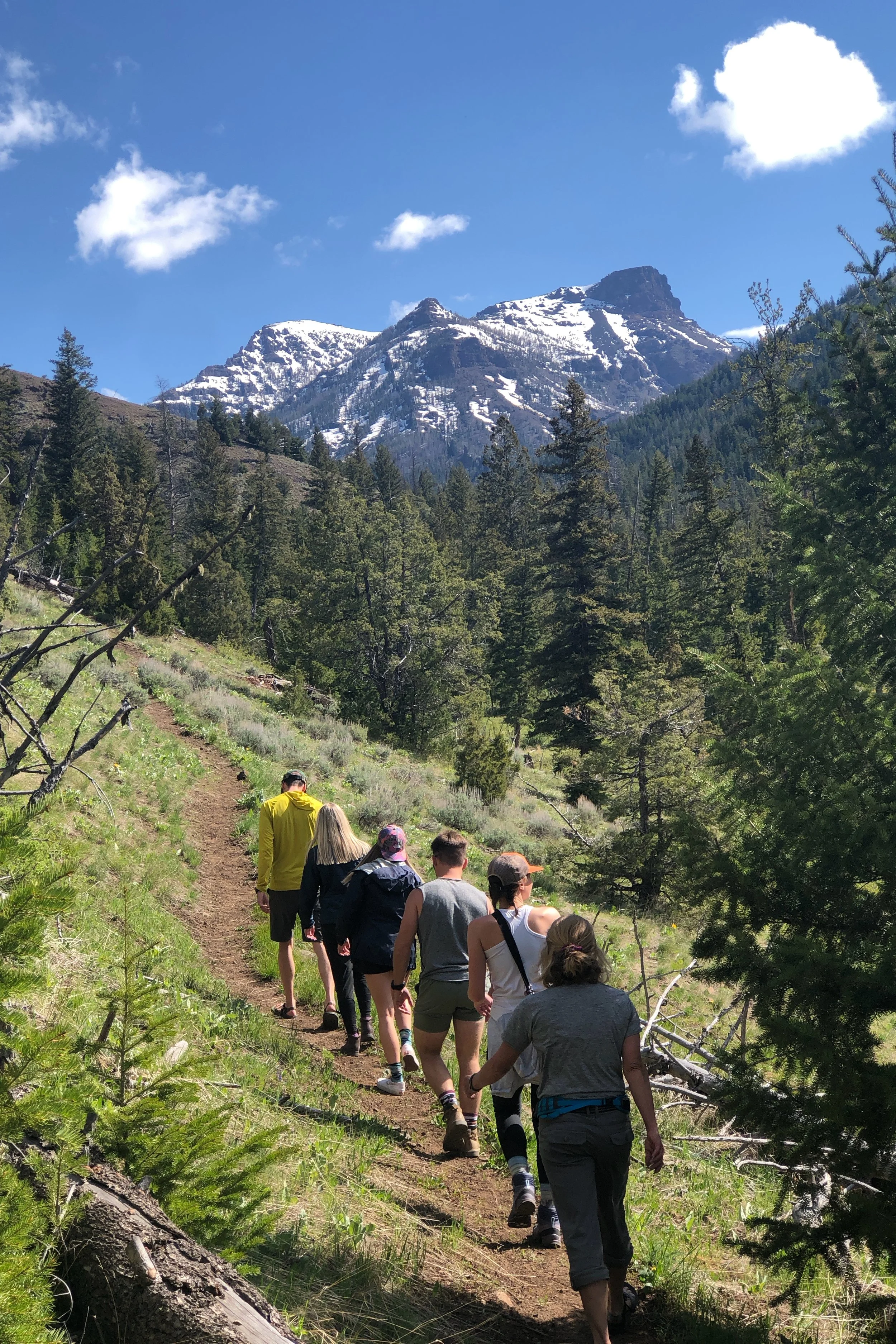 Guide Fees Go To Non-Profits — Sunlight Trail Guides