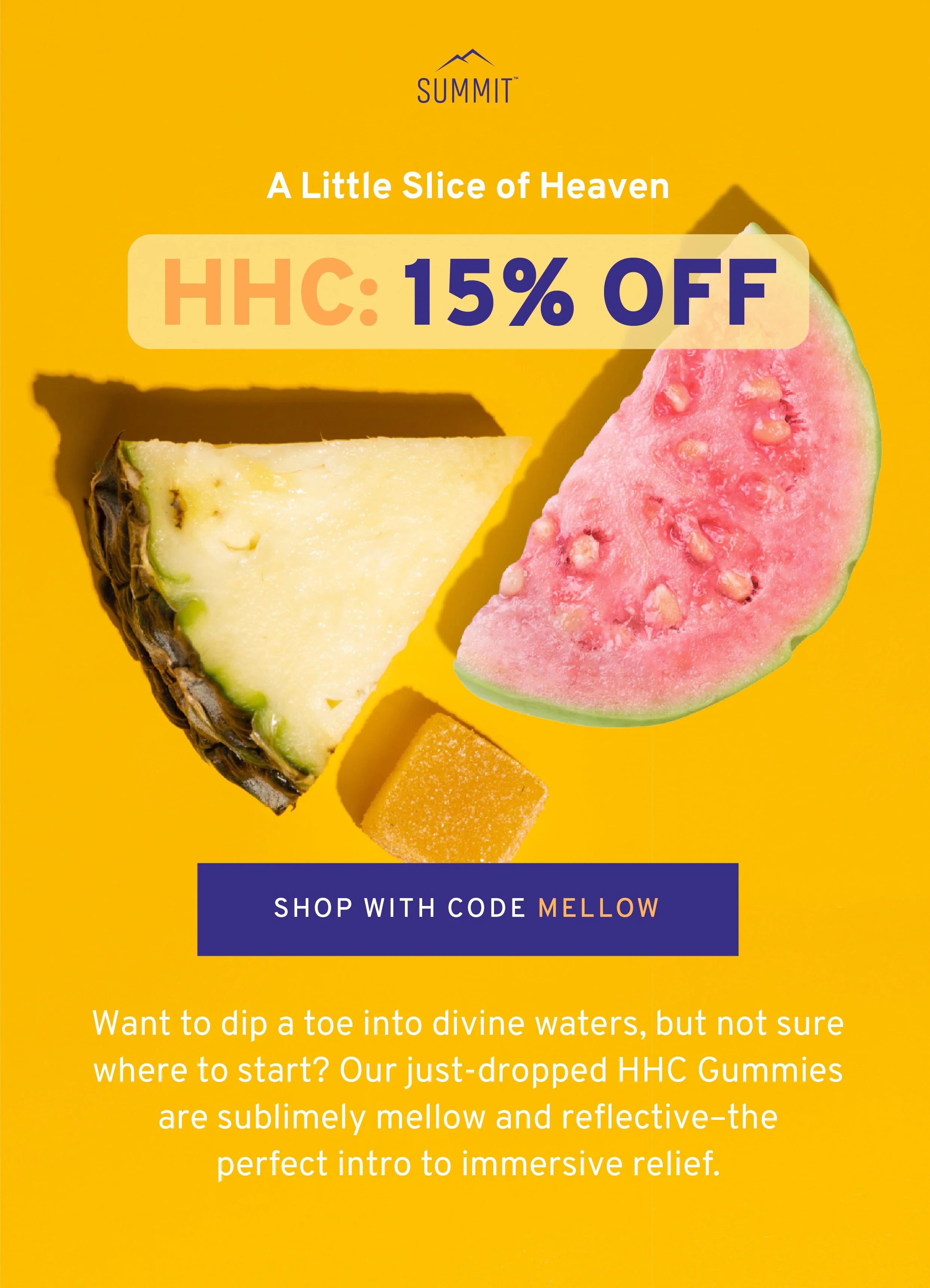 Summit THC — Laura Bridgeman