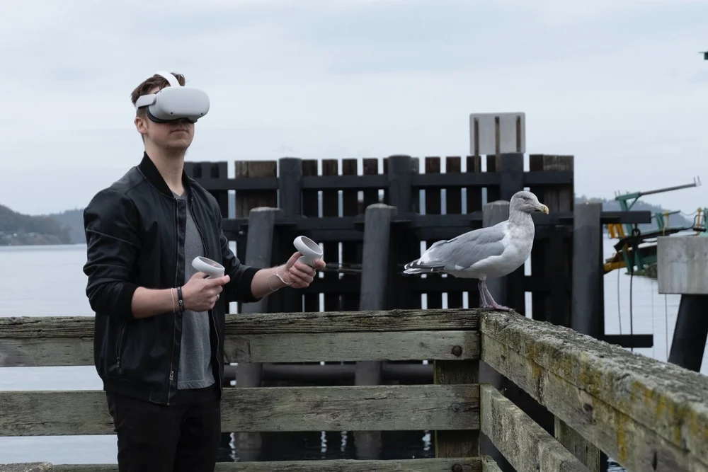 Stratus | Cloud VR