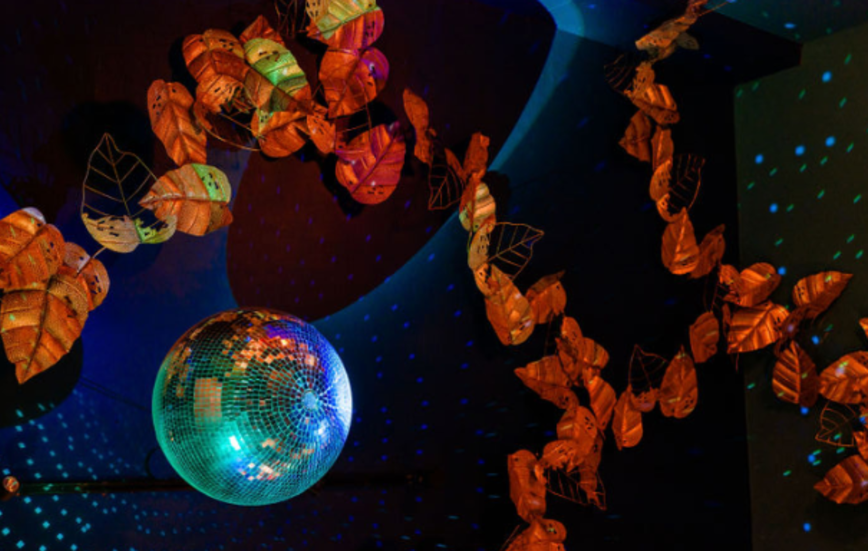 Gallery 3 — MONARCH SF