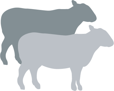 About the American Lamb Checkoff Program — American Lamb Board