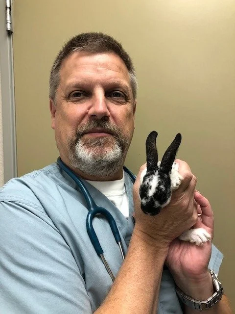 Schedule of Events — SDHRS Bunnyfest