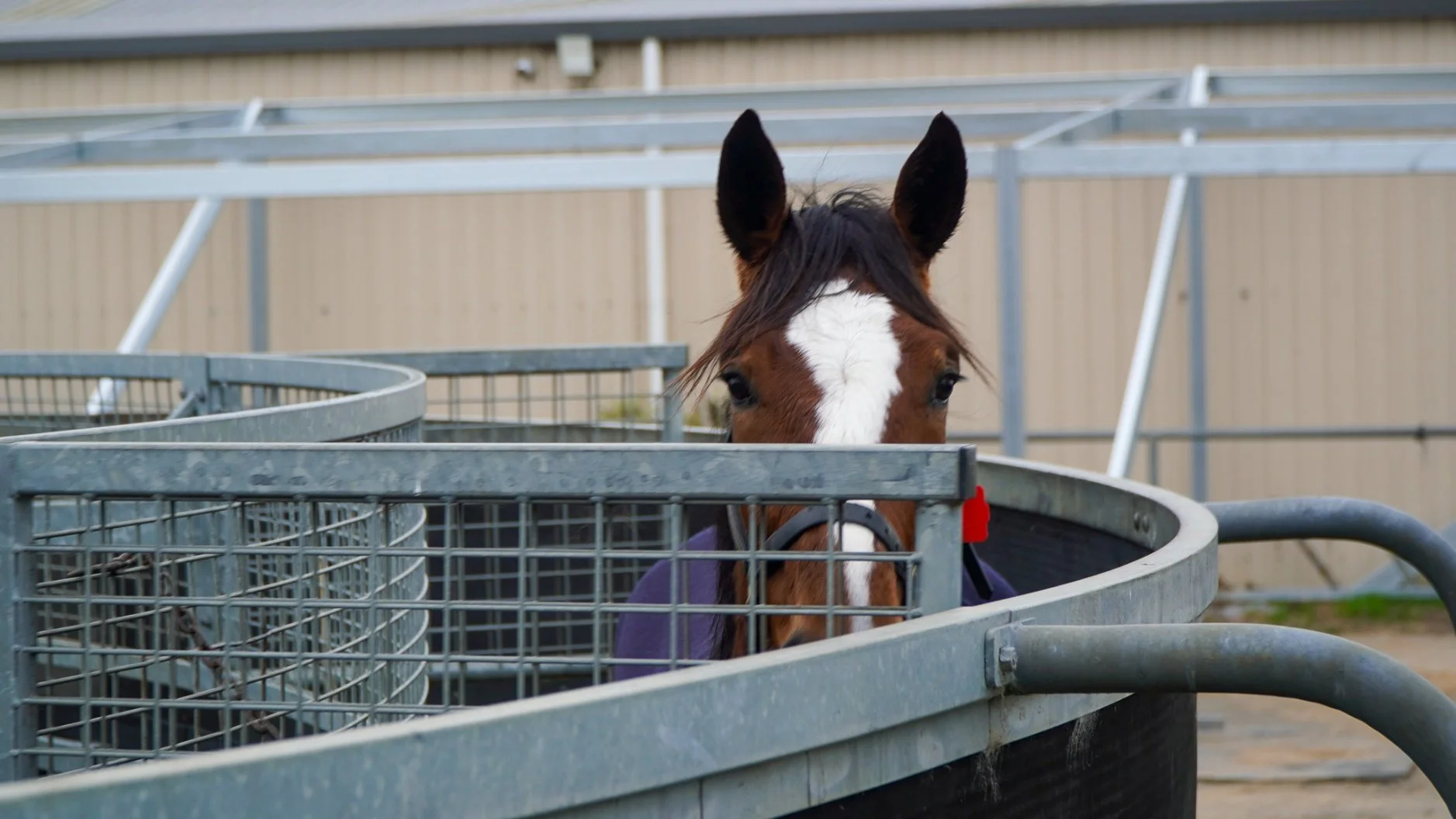 TRAINING CENTRE — Cranbourne Harness Racing Club