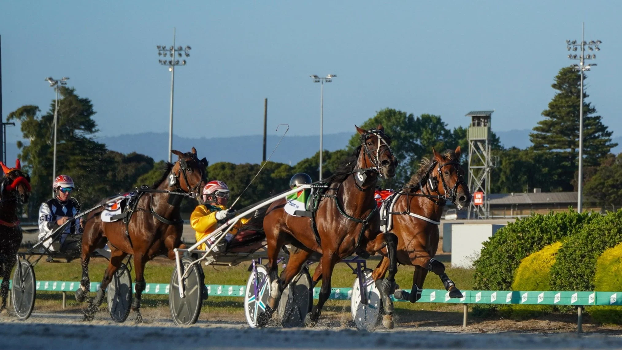 Cranbourne Harness Racing Club