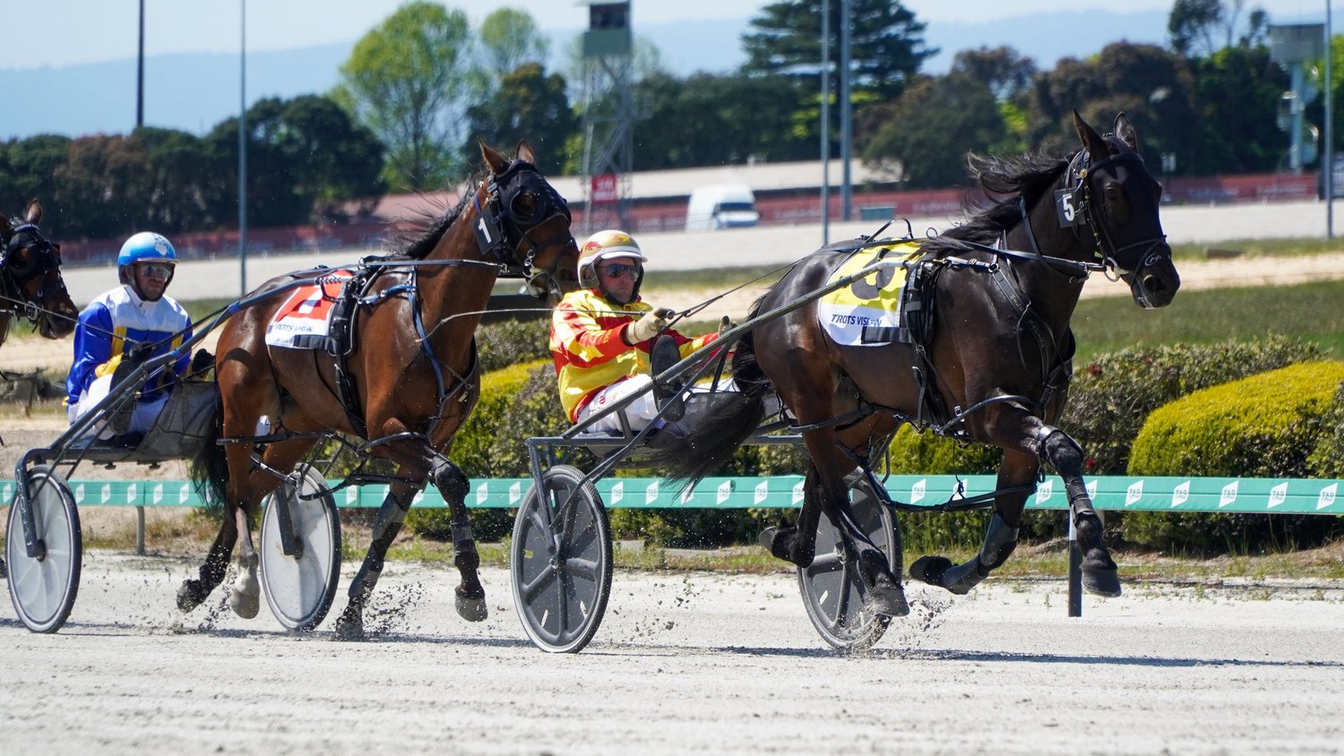 Racing Information — Cranbourne Harness Racing Club