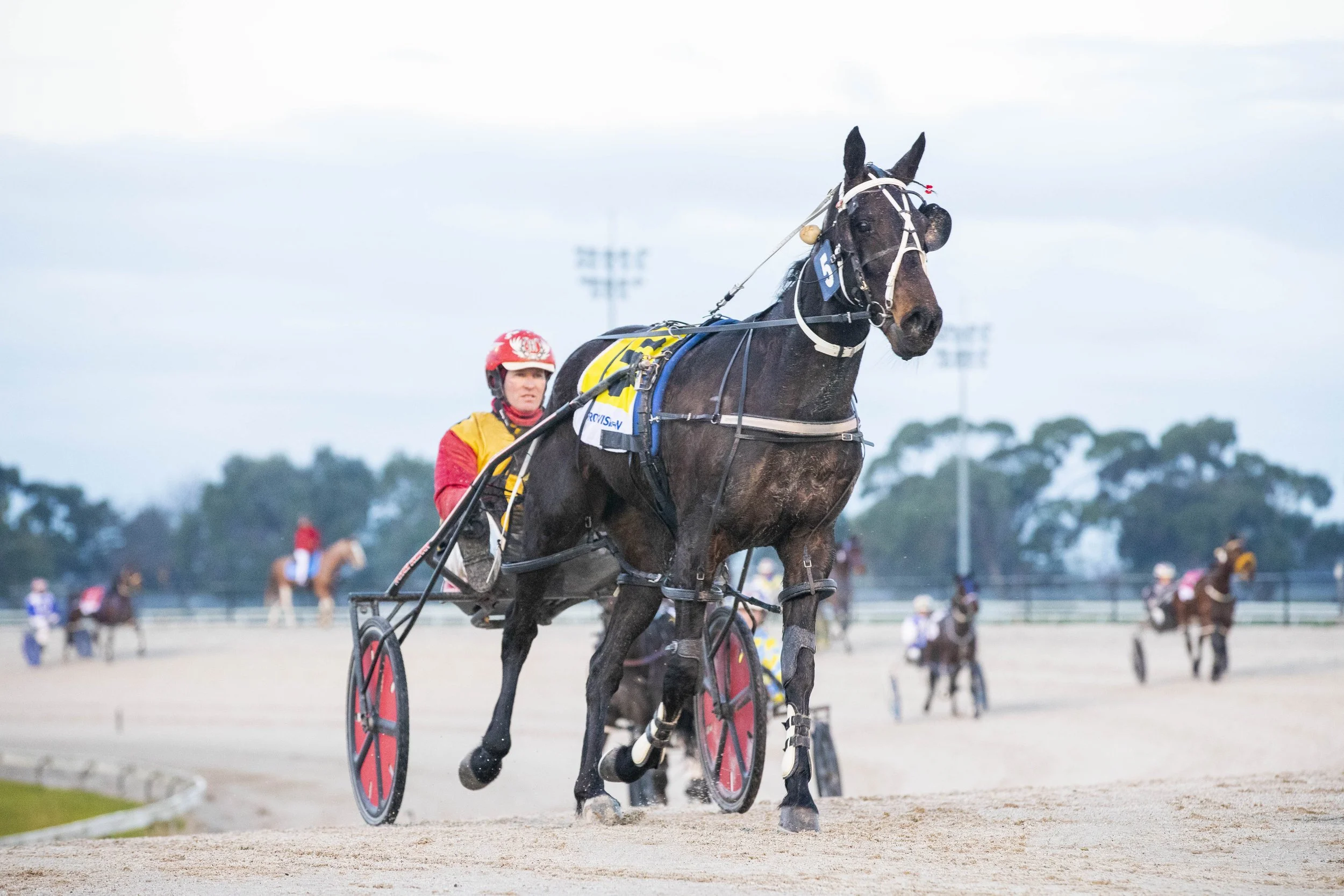 Cranbourne Harness Racing Club