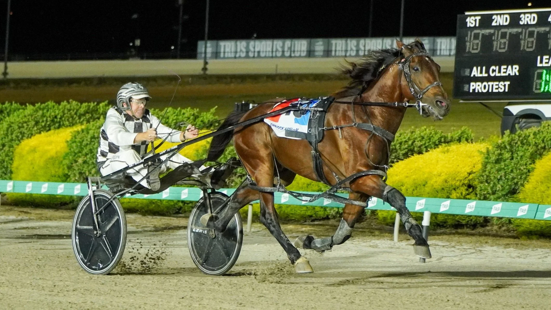 Cranbourne Harness Racing Club