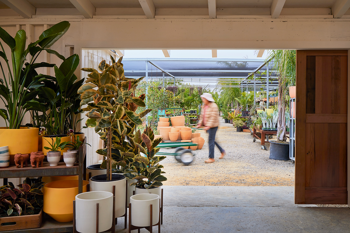 Visit Flora Grubb Los Angeles — Flora Grubb Gardens Plant Nursery