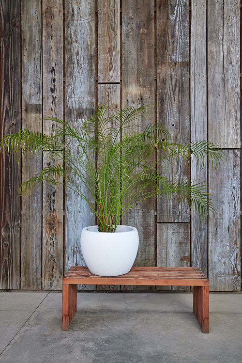 How (and Why!) to Use the Cachepot System for Your Houseplants — Flora ...