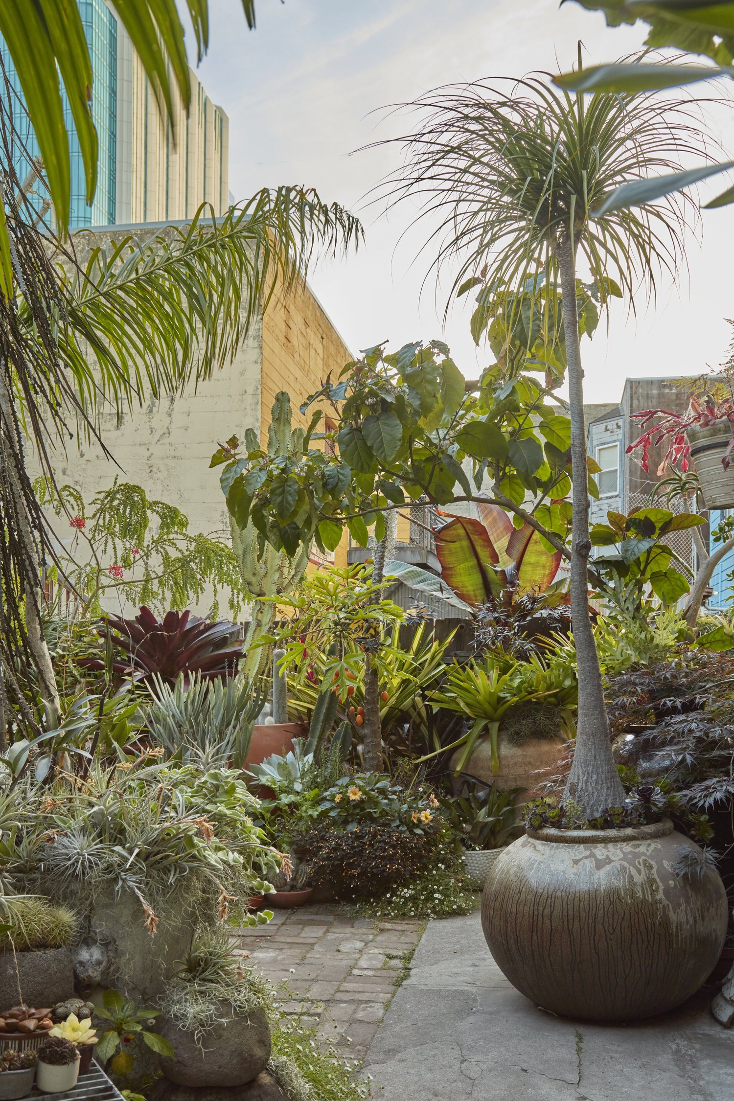 Inspiration from Clarke de Mornay's Patio Garden — Flora Grubb Gardens