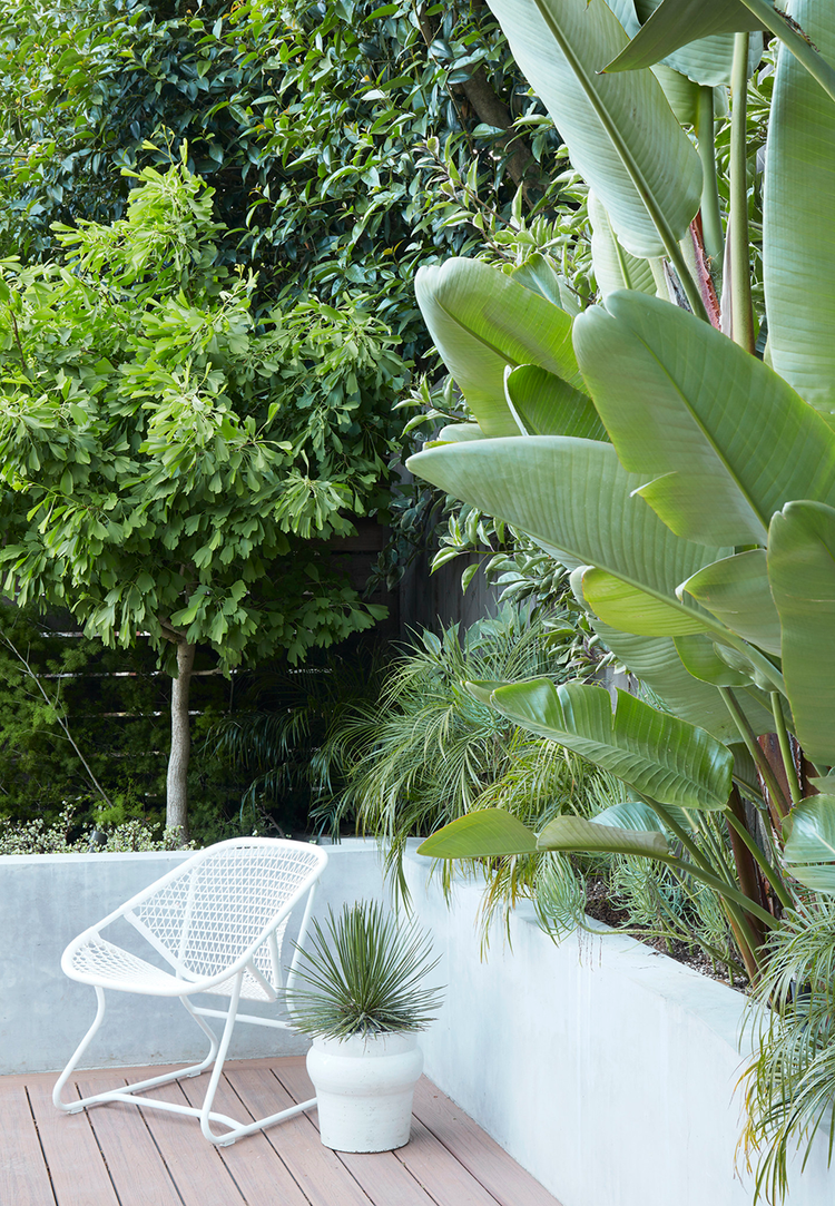 Steal This Look: A Soft and Sculptural Retreat — Flora Grubb Gardens ...