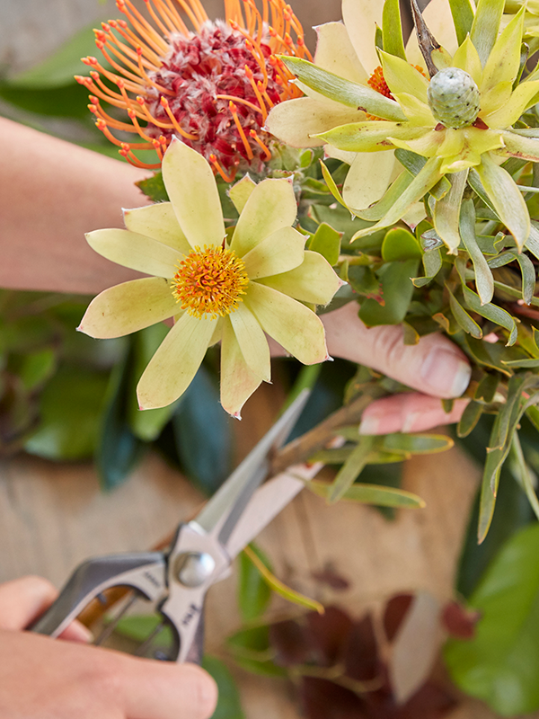 Bring it inside! Low-Maintenance Cutting Garden Plants — Flora Grubb ...