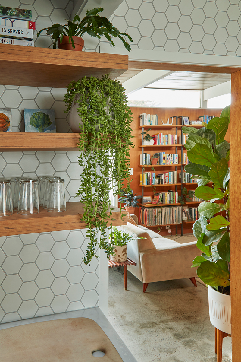 Trailing Succulents for Hanging Baskets — Flora Grubb Gardens Plant Nursery