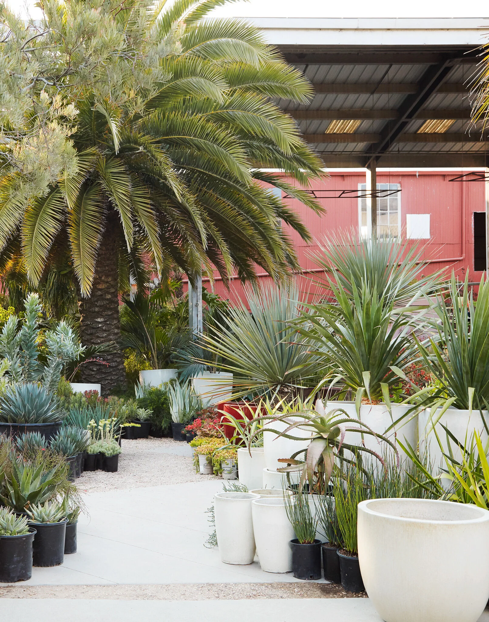 Modern Ceramic Glazed Pots and Planters — Flora Grubb Gardens Plant Nursery
