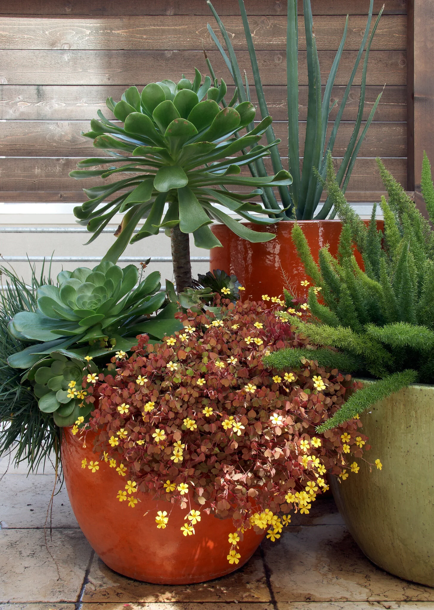 Modern Ceramic Glazed Pots and Planters — Flora Grubb Gardens Plant Nursery