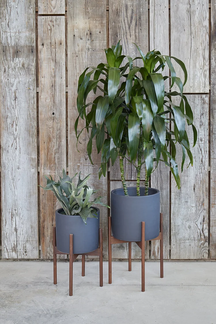 Case Study Ceramic Pots and Planters by Modernica — Flora Grubb Gardens ...
