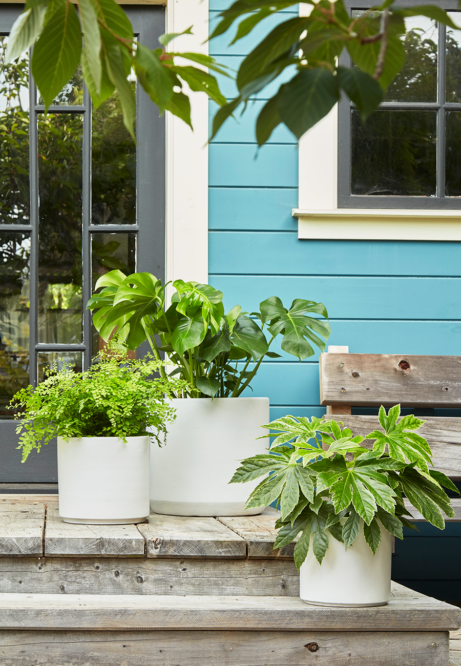 Cylinder Ceramic Pots and Planters — Flora Grubb Gardens Plant Nursery