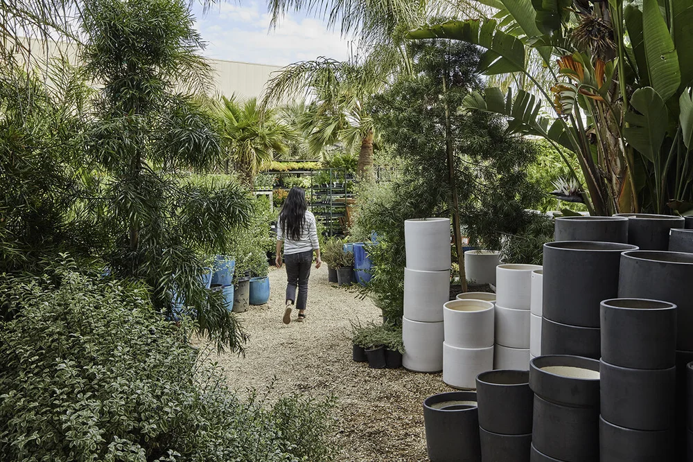 Cylinder Ceramic Pots and Planters — Flora Grubb Gardens Plant Nursery
