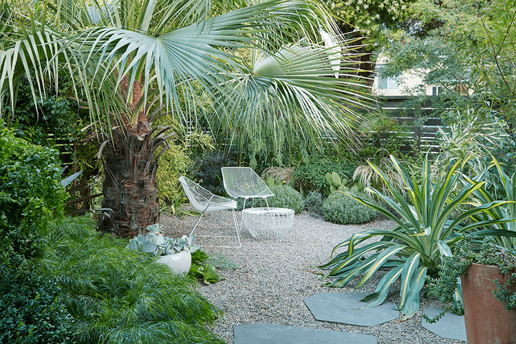 Flora's Own Garden — Flora Grubb Gardens