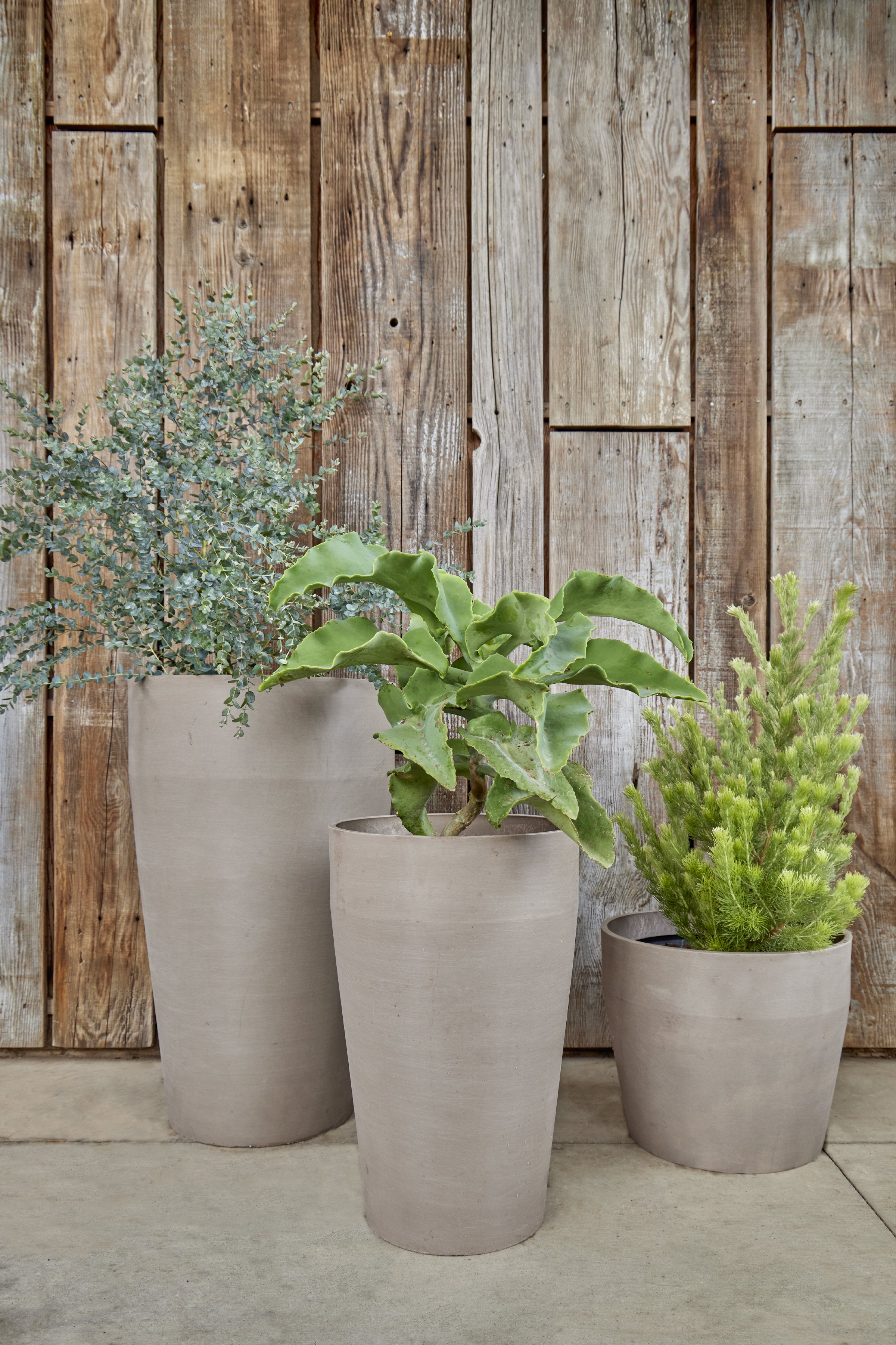 Pots and Planters — Flora Grubb Gardens