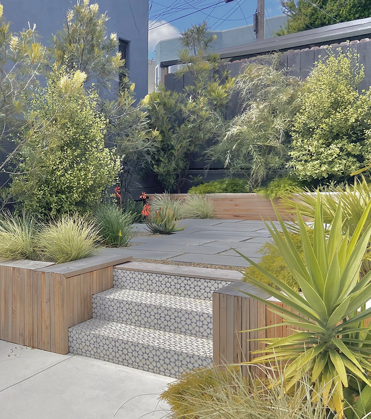 Inspiration From Friday Gardens — Flora Grubb Gardens Plant Nursery