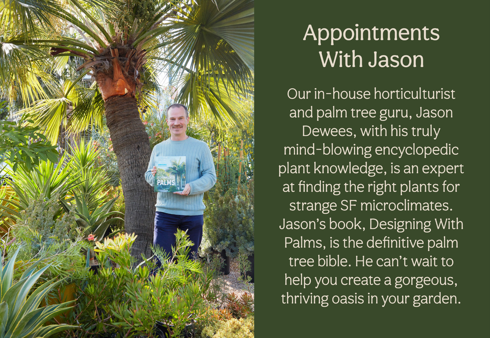 Garden Design Consultation by Appointment — Flora Grubb Gardens Plant ...